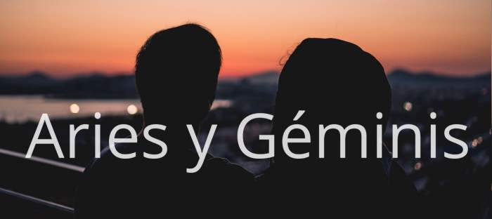 Aries Y Géminis Compatibilidad En El Amor Y En La Cama