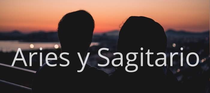 Aries y Sagitario: Amor, compatibilidad de pareja en 2021 Aries y Sagitario: Amor, compatibilidad de pareja en 2021